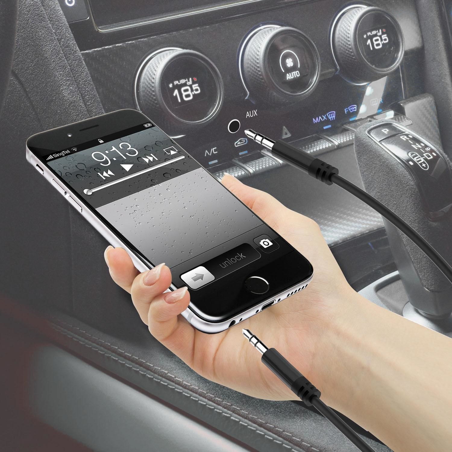 Premier 3ft Auxiliary Cable