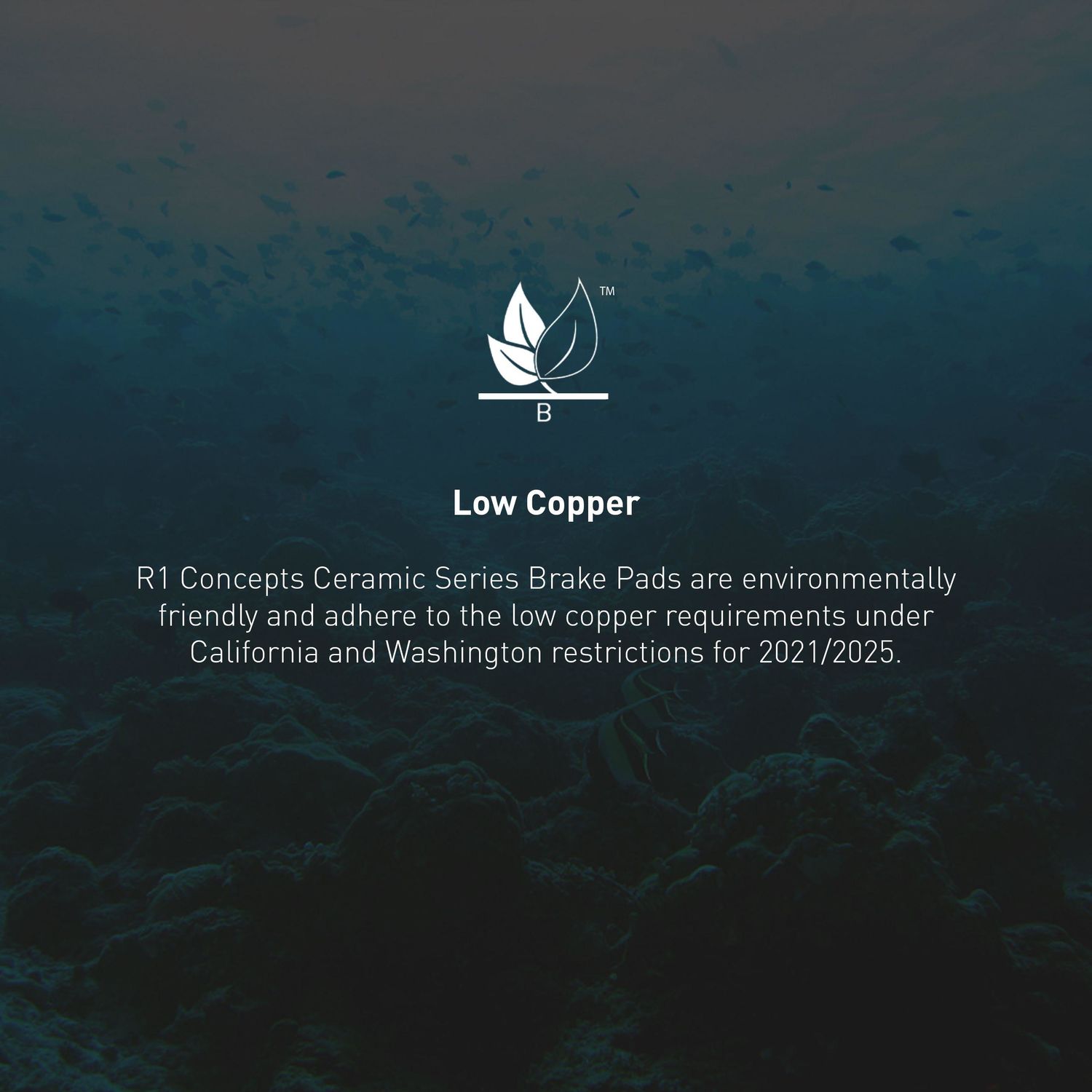 R1 Ceramic Series Premium Brake Pads 2310-0732-00