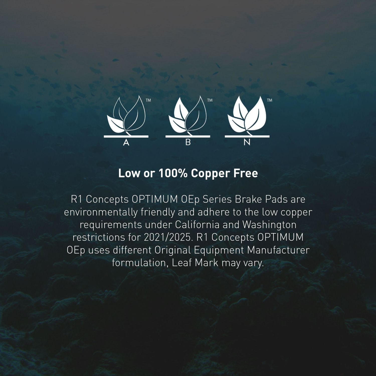 R1 Concepts Semi-Metallic Disc Brake Pad Set 2551-1691-01