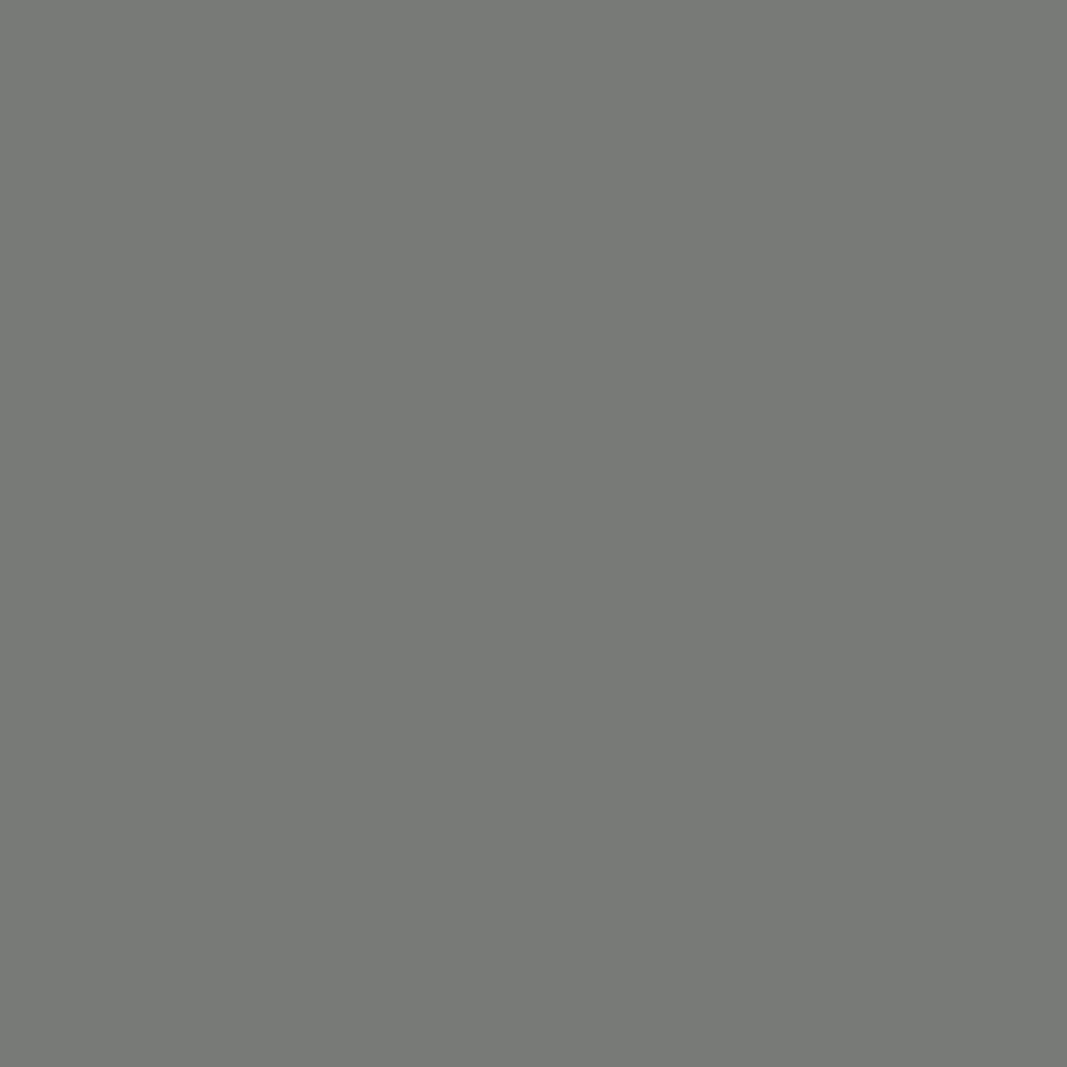 Rust-Oleum Gray 2000 Degree High Heat Primer Spray 12oz
