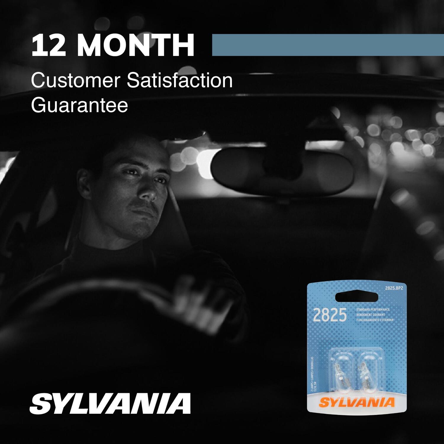 Sylvania Basic Mini Bulb 2825