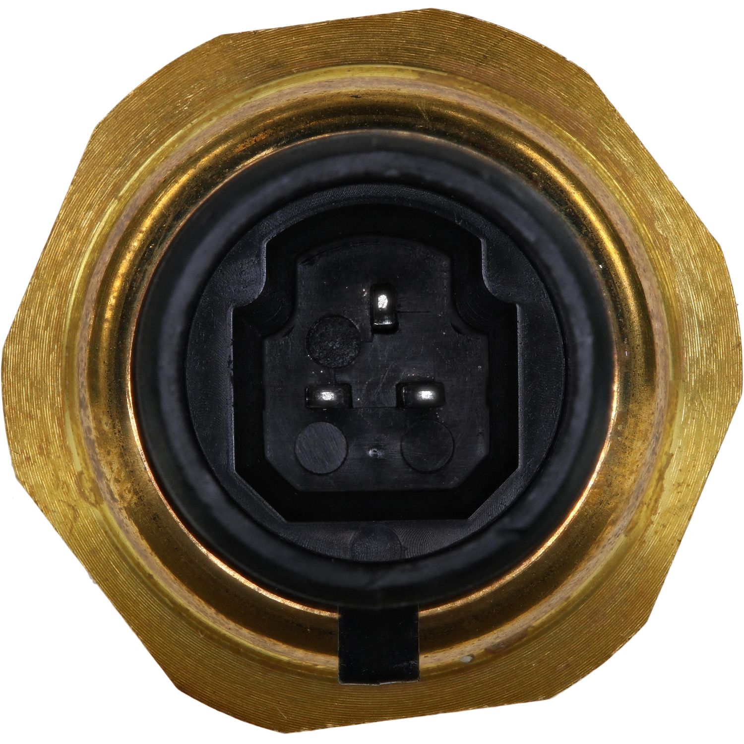 Duralast Oil Pressure Switch PS555