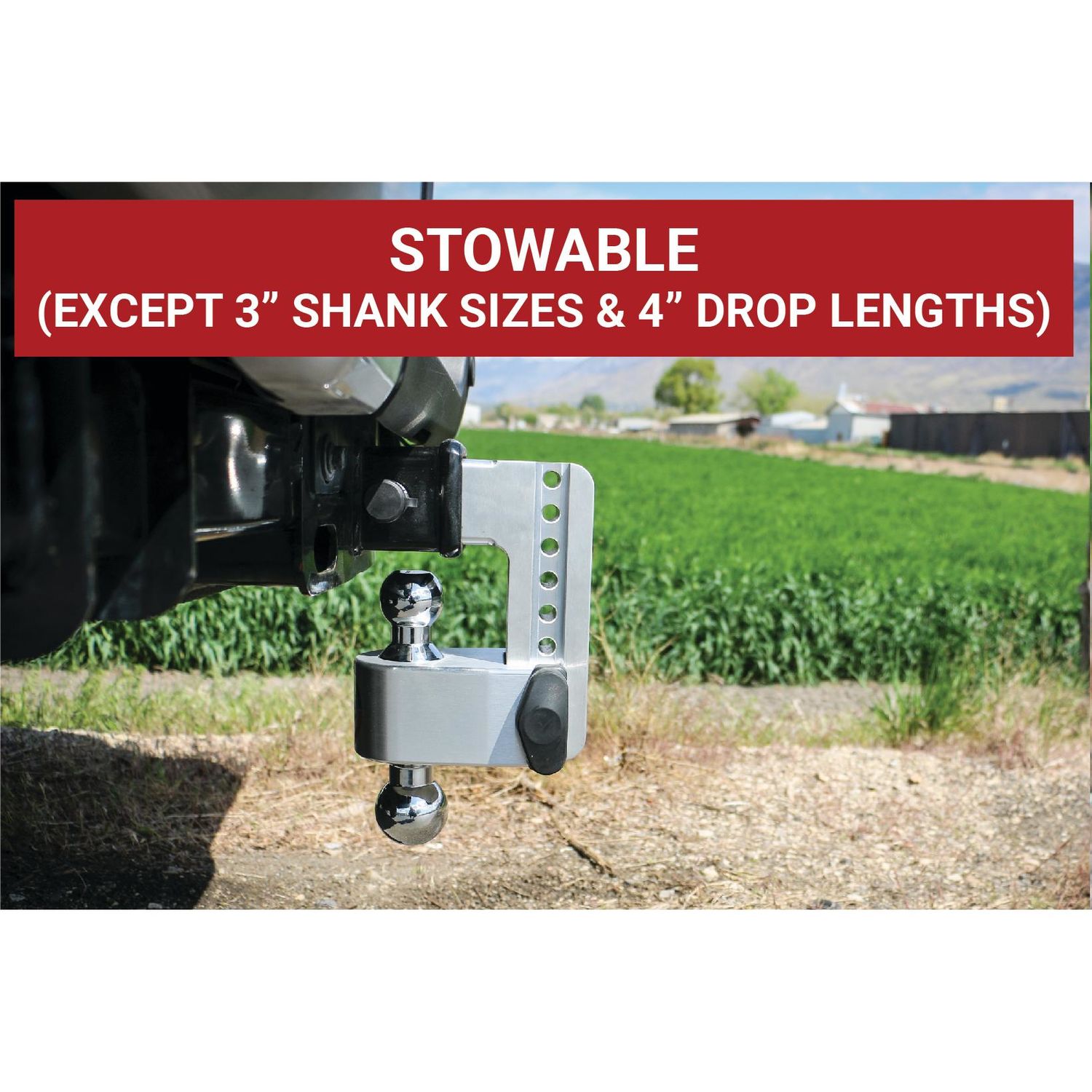 Weigh Safe 8in Adjustable Drop Hitch 180 Degrees Turnover Ball Mount