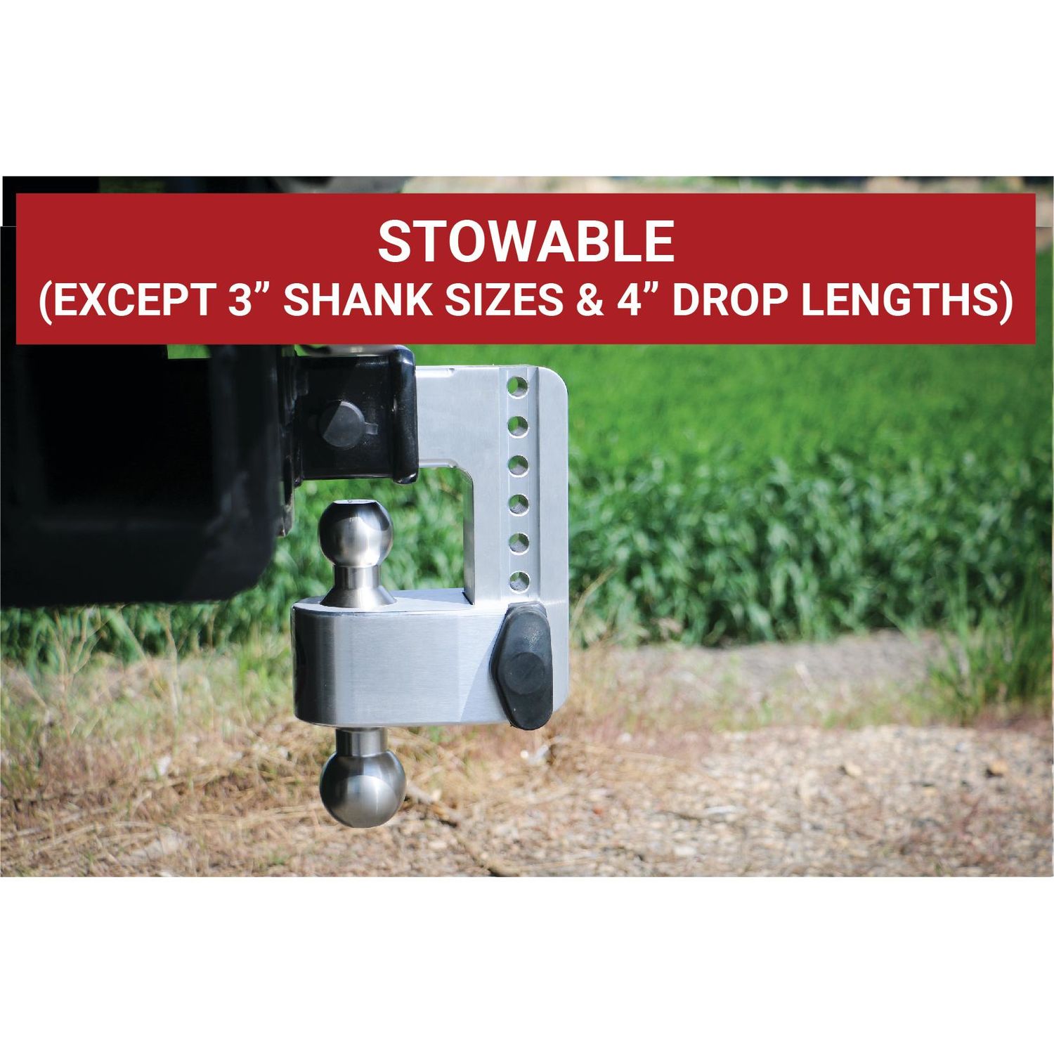 Weigh Safe 6in Adjustable Drop Hitch 180 Degrees Turnover Ball Mount