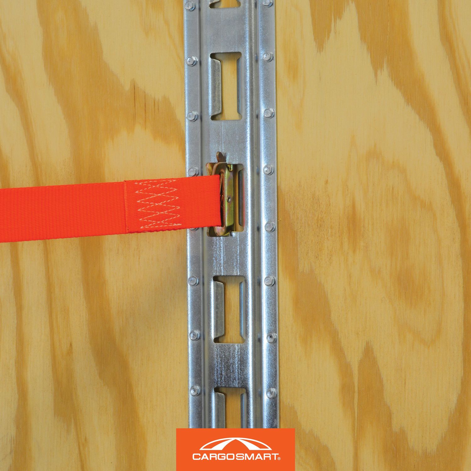 CargoSmart 60in E Track Vertical