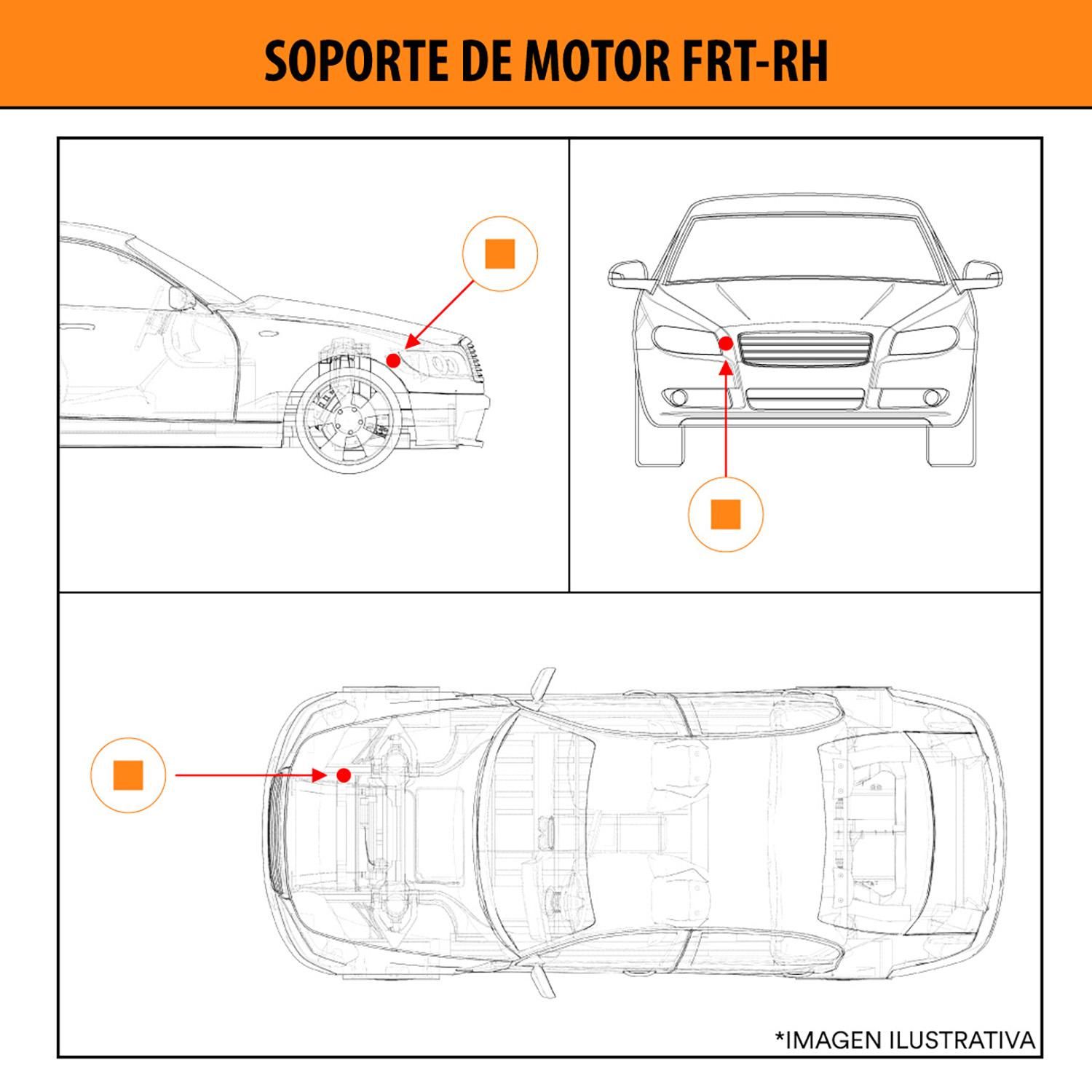Soporte de Motor Duralast D-8542-H