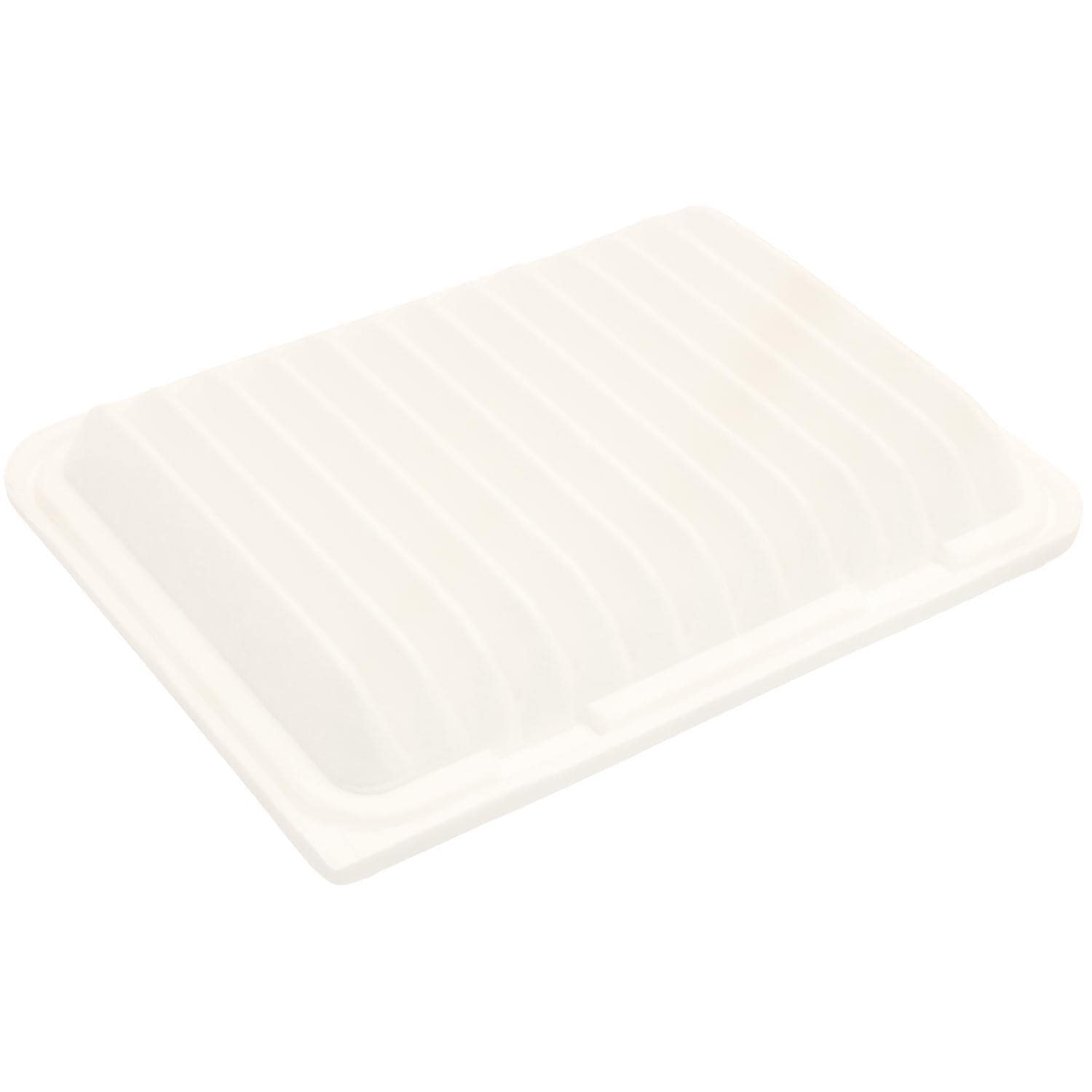 Filtro de Aire FRAM Extra Guard CA10190