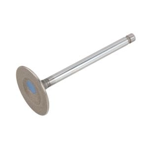 Engine Intake Valve - Replacement Intake Valves at the Right Price