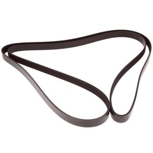 ACDelco Belt - AutoZone