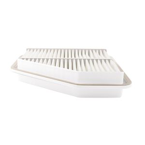 ACDelco Air Filter - AutoZone