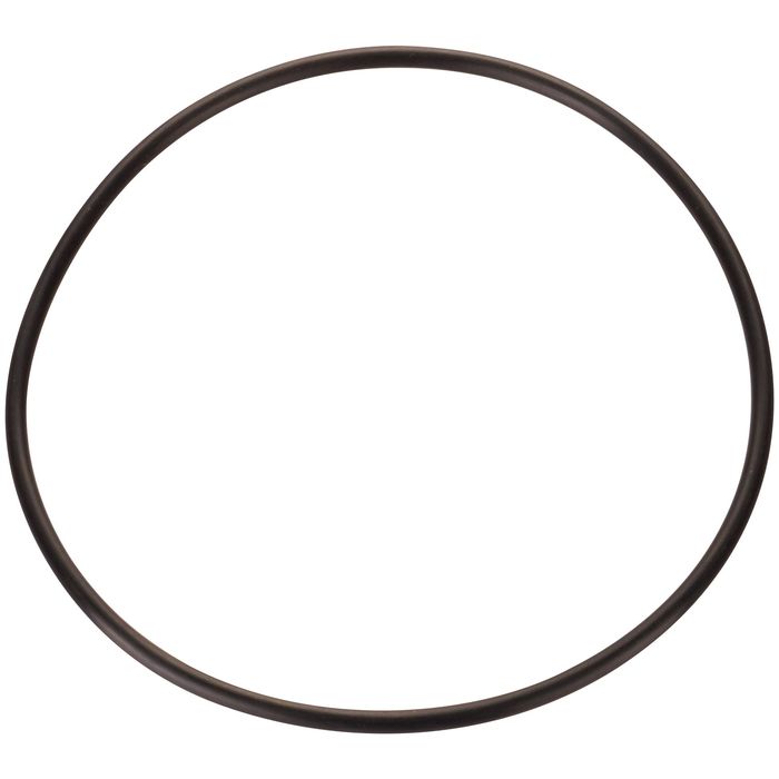 TruGrade Fuel Pump Tank Seal LO190