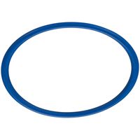 Best High Pressure Fuel Pump O-Ring for Cars, Trucks & SUVs