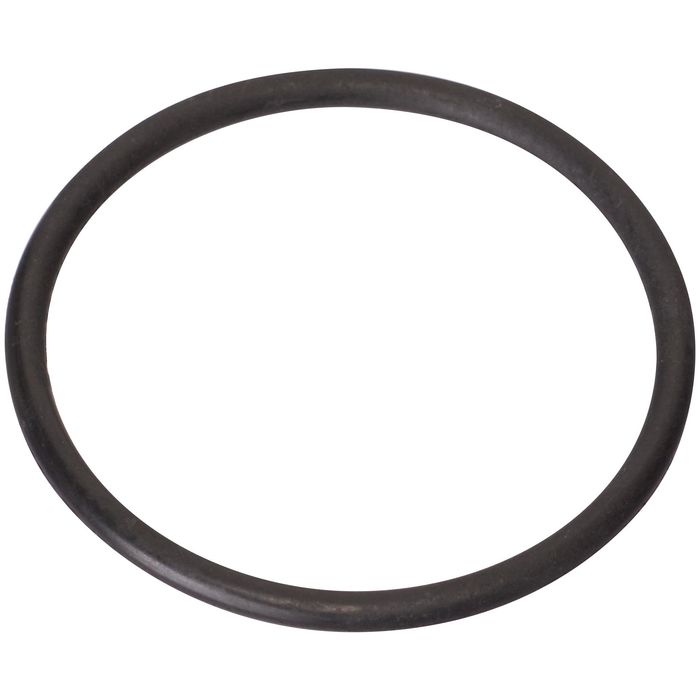 TruGrade Fuel Pump Tank Seal LO210