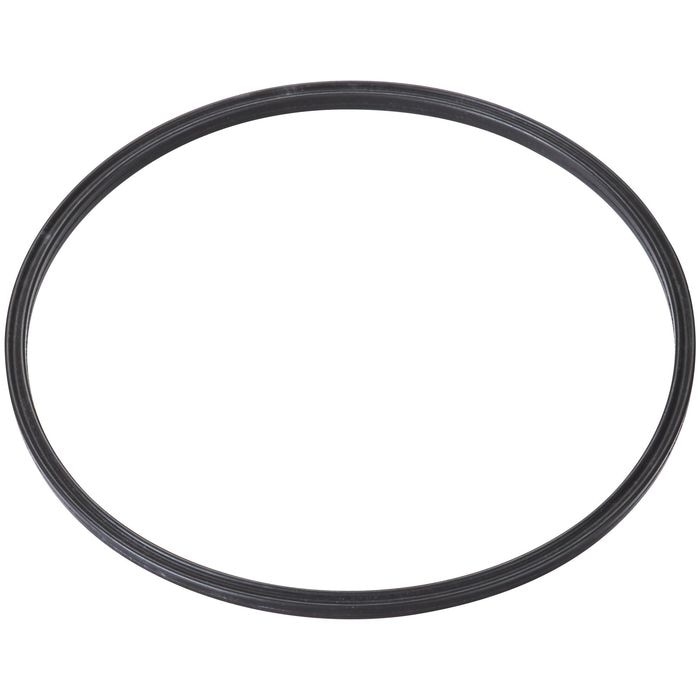 TruGrade Fuel Pump Tank Seal