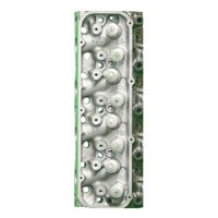 Cylinder Head - Replacement Engine Cylinder Heads at the Right Price