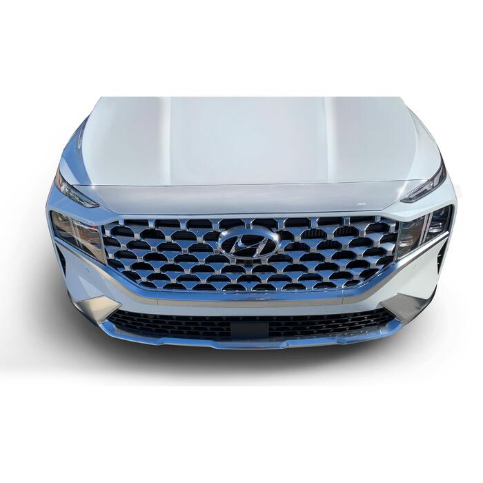 Auto Ventshade (AVS) Chrome Bug Deflector 622197