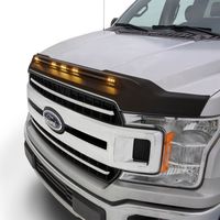2019 Ford F150 Bug Deflector