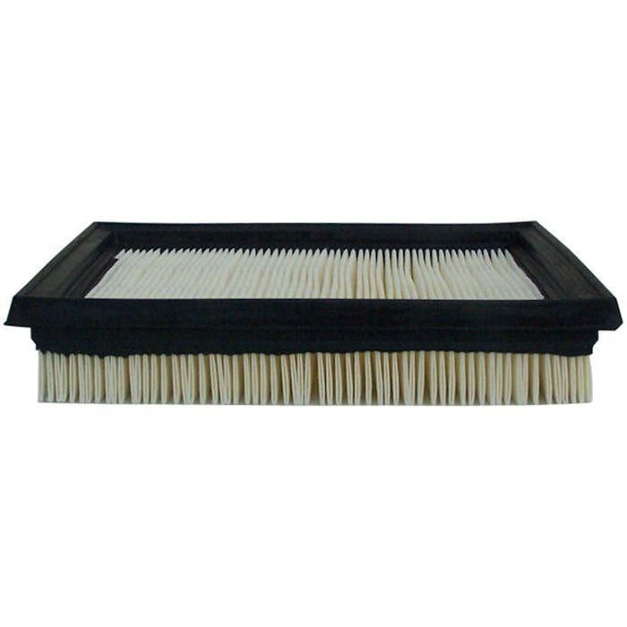 LUBER-FINER Rectangular Engine Air Filter AF4038