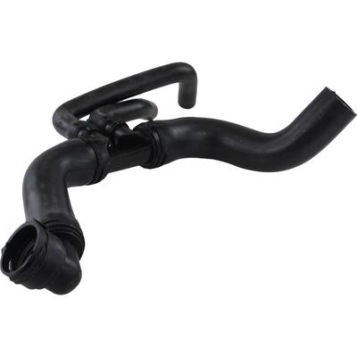 Rein Lower Radiator Hose CHR0780