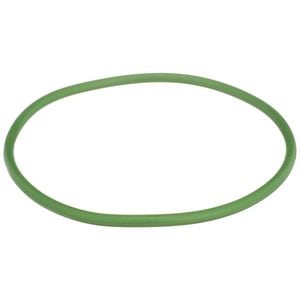 2005 GMC Sierra Fuel Pump Tank Seal