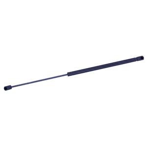 Duralast Trunk Lid Lift Support DL10255C