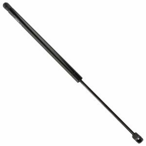 Duralast Liftgate Lift Support DL10352C