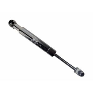 Duralast Convertible Top Strut DL11891A