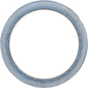 Victor Reinz Exhaust Flange Gasket 71-13909-00