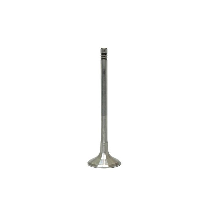 DNJ Engine Exhaust Valve EV816