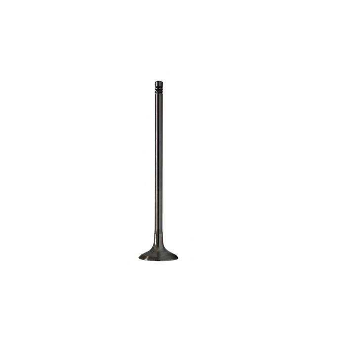 DNJ Engine Exhaust Valve EV816A