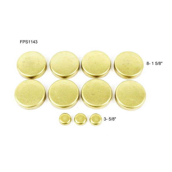 DNJ Engine Expansion Plug Kit FPS1143