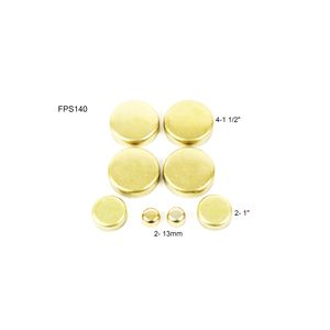 DNJ Engine Expansion Plug Kit FPS140