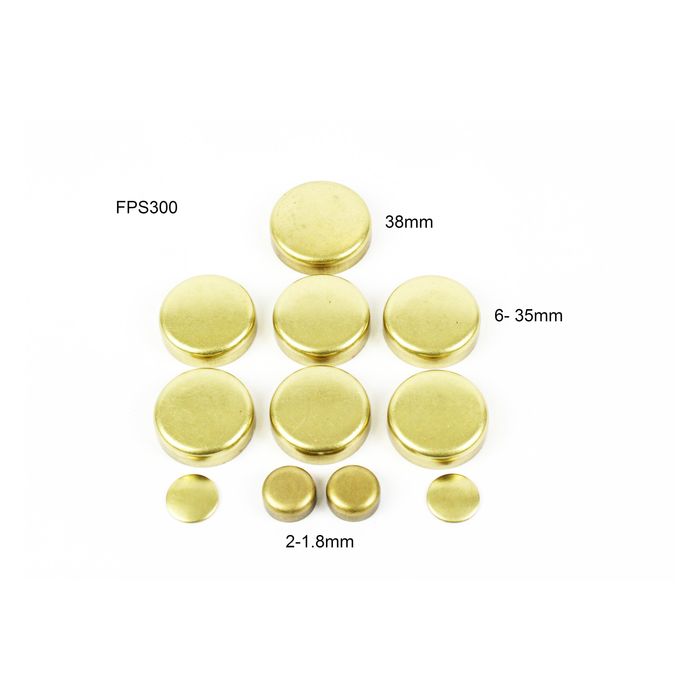DNJ Engine Expansion Plug Kit FPS300