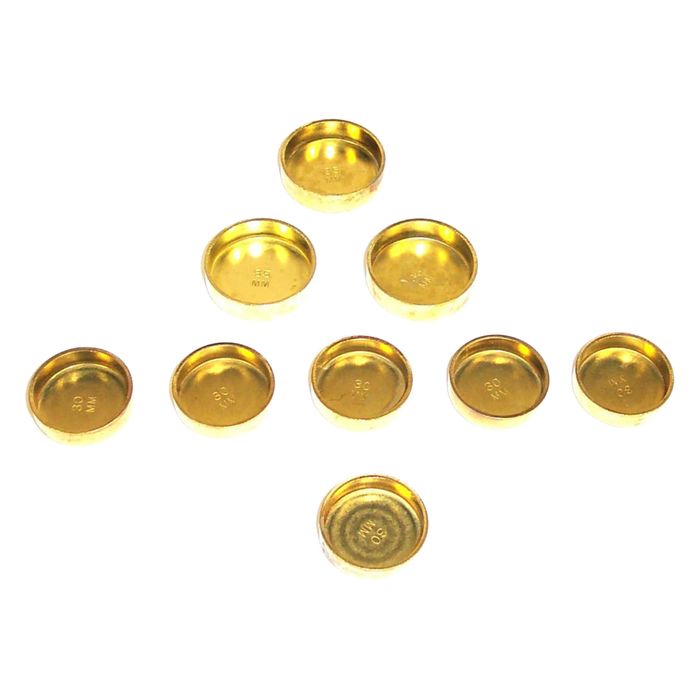 DNJ Engine Expansion Plug Kit FPS400