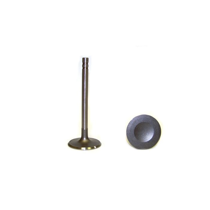 DNJ Engine Intake Valve IV3125