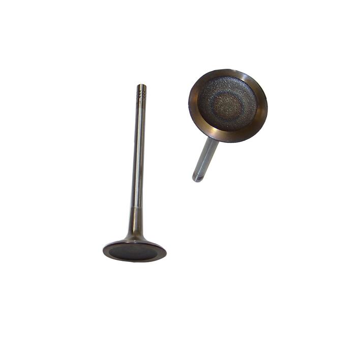 DNJ Engine Intake Valve IV802
