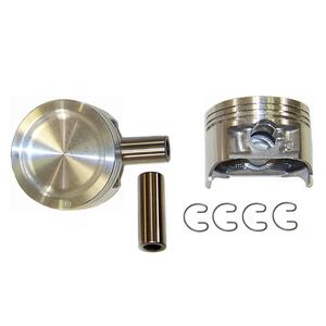 DNJ Piston P520