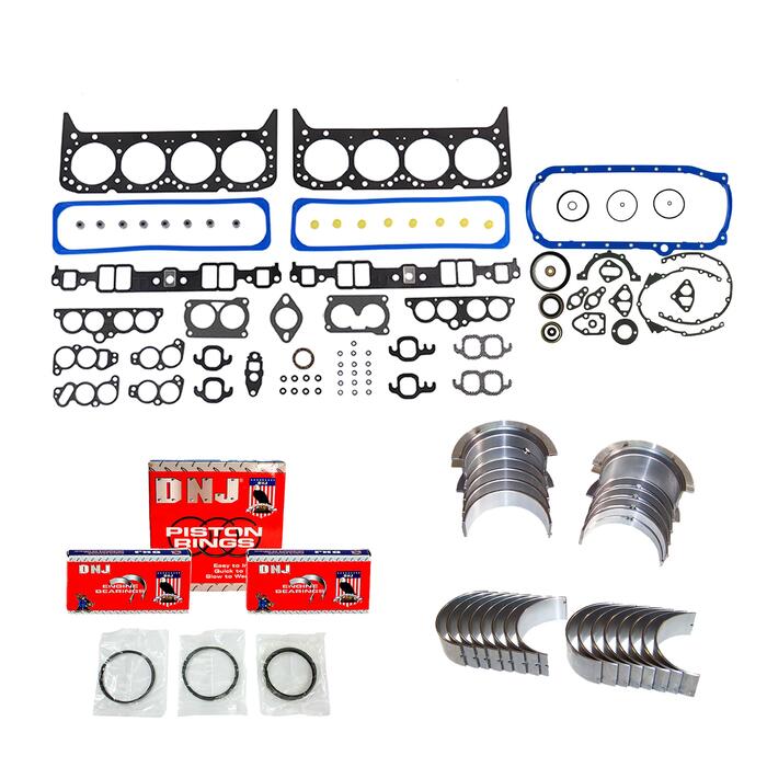 DNJ Engine Re-Ring Kit RRK3173