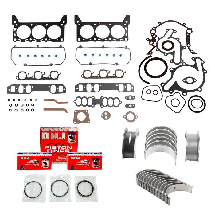 DNJ Engine Re-Ring Kit RRK4119
