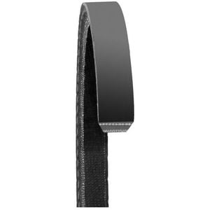 Duralast Accessory Drive Belt 17700