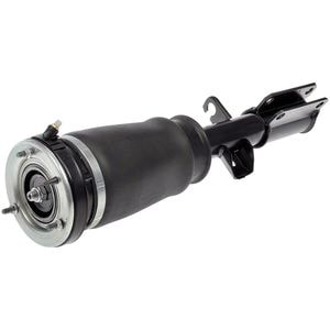 Dorman Shocks and Struts - AutoZone