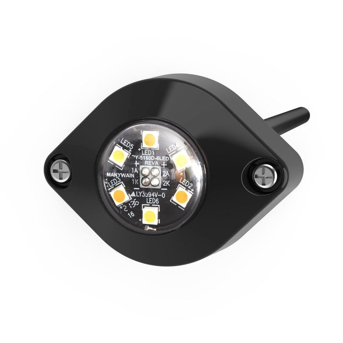 ECCO Red/Blue Dual Color Directional LED