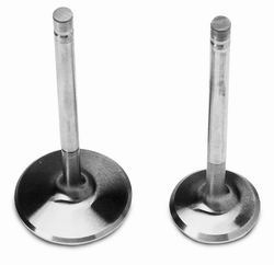 Engine Intake Valve - Replacement Intake Valves at the Right Price
