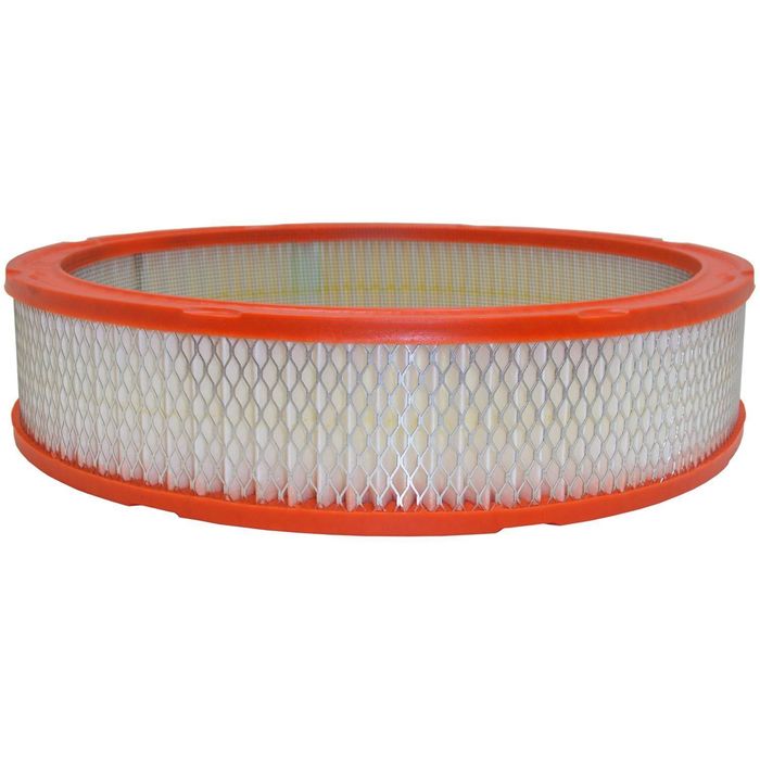 FRAM Extra Guard Air Filter CA305