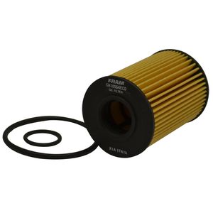 FRAM Filtro de Aceite - AutoZone