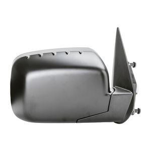 TYC Door Mirror 4820041