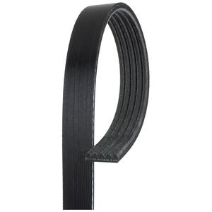 Gates Belt - AutoZone