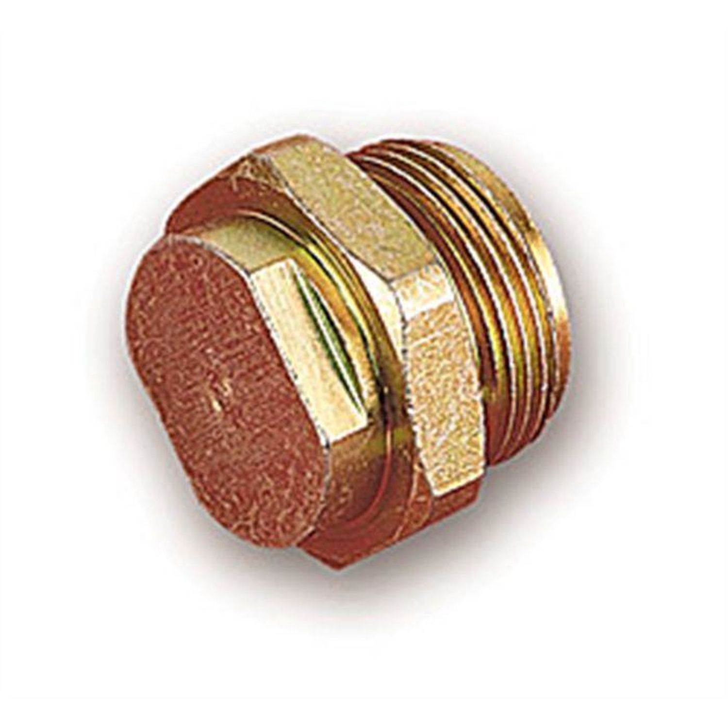 Holley Fuel Inlet Plug