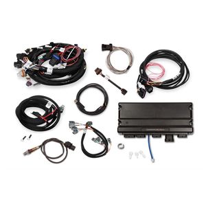Holley EFI Terminator X Max Multi Port Fuel Injection System with EV6 ...