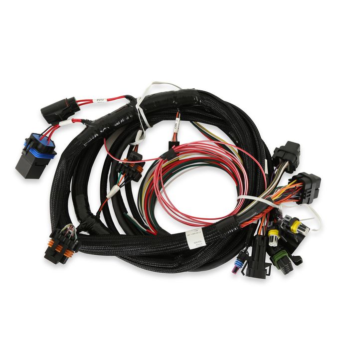Holley EFI Terminator Harness